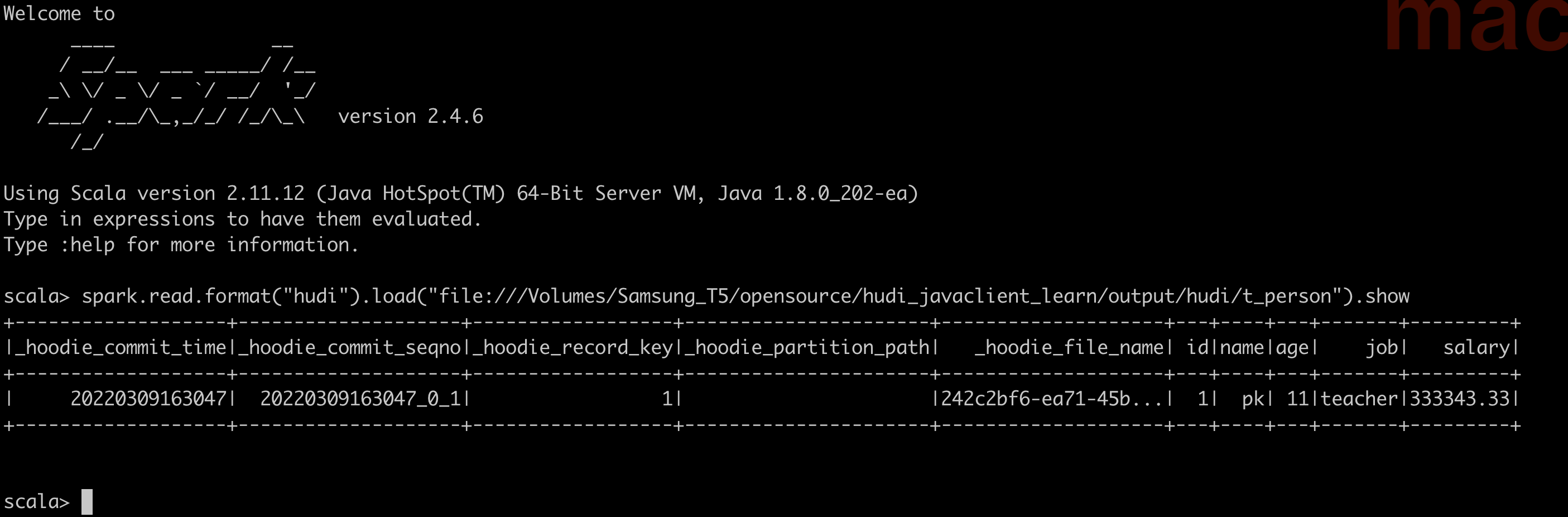 GitHub - Kyofin/hudi_javaclient_learn